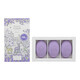 Woods Of Windsor Ladies Lavender Soap Bath & Body 5060322953526 - Jomashop