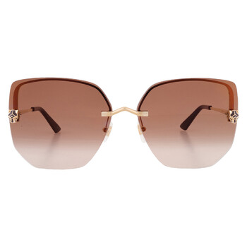 Cartier Panthere de Cartier Brown Multitreatment Butterfly Ladies ...