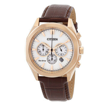 Citizen Eco-Drive Perpetual GMT Brown Dial Men's Watch BL8160-07X ...