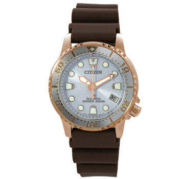 Citizen Promaster Silver Dial Ladies Watch EO2023-00A 013205159992 ...