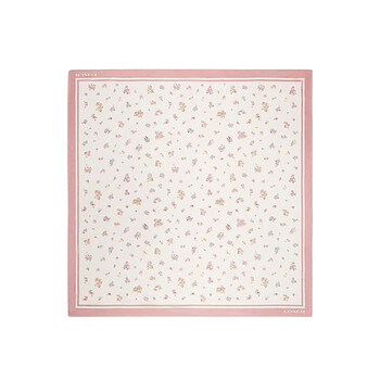 Coach Floral Print Silk Scarf CQ095 CAH 722947703546 - Clothing - Jomashop