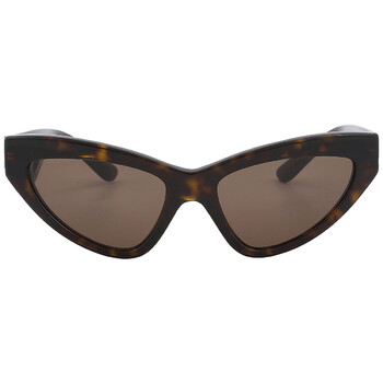 Dolce & Gabbana Dark Brown Cat Eye Ladies Sunglasses DG4435 502/73 53 ...