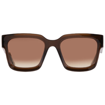 French Connection 59403FCU800 Brown Gradient Cat Eye Ladies Sunglasses ...
