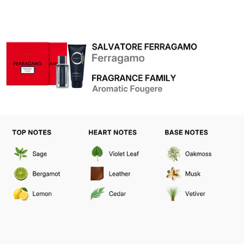 Salvatore Ferragamo Fragrances & Perfumes - Jomashop