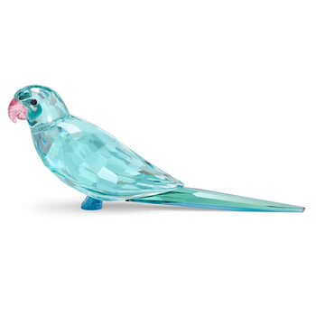 Swarovski Crystal Jungle Beats Parakeet Couple Fife & Fifer Figurine ...