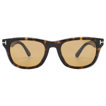 Tom Ford Mikel Polarized Brown Cat Eye Ladies Sunglasses FT1085 52H 54 ...