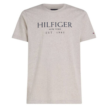 Tommy Hilfiger Logo Slim Fit T-Shirt, Size Medium MW0MW35466DW5 ...