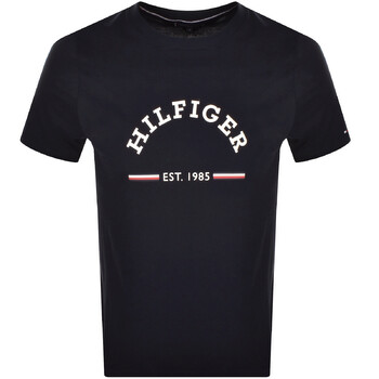 Tommy Hilfiger Structure Flag Print T-Shirt, Size Large MW0MW26071YBR ...