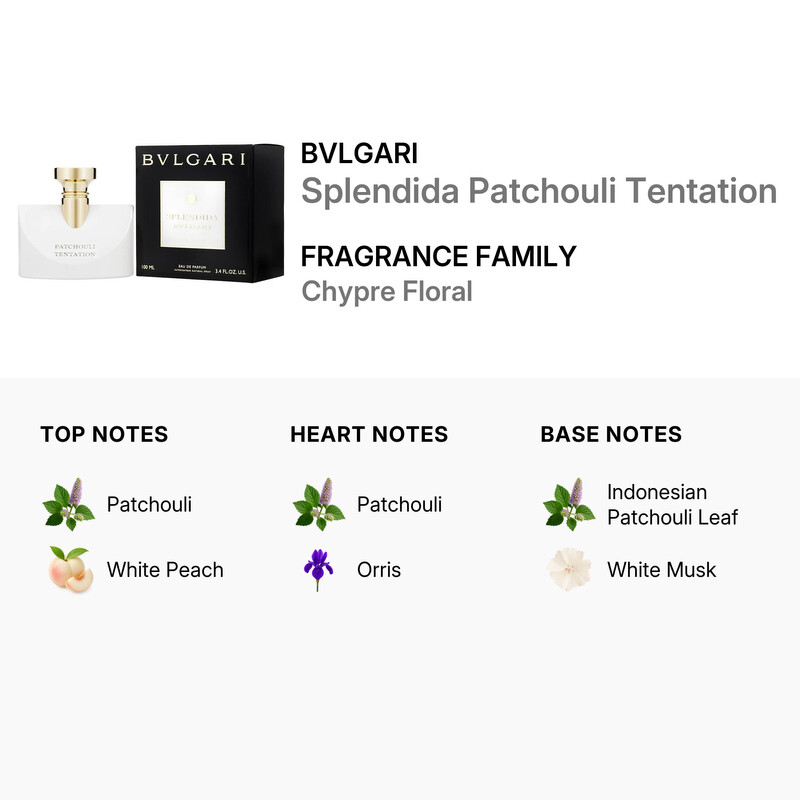 Bvlgari Ladies Splendida Patchouli Tentation EDP Spray 3.4 oz ...