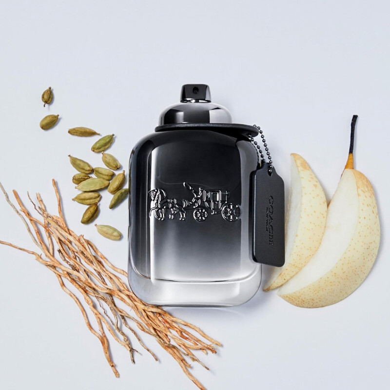 Coach New York / Coach EDT Spray 3.3 oz (100 ml) (m) 3386460086325 ...