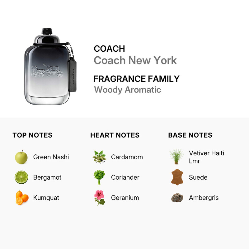 Coach New York / Coach EDT Spray 3.3 oz (100 ml) (m) 3386460086325 ...