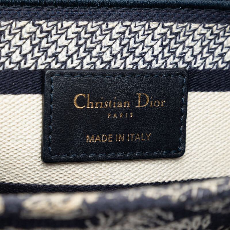 Dior Pre-owned Dior Medium Embroidered Canvas Toile de Jouy Lady D Lite ...