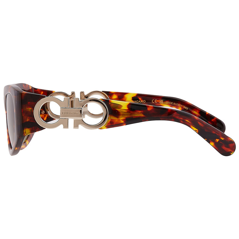 Ferragamo Salvatore Ferragamo Green Oval Ladies Sunglasses SF1082SN 219 ...
