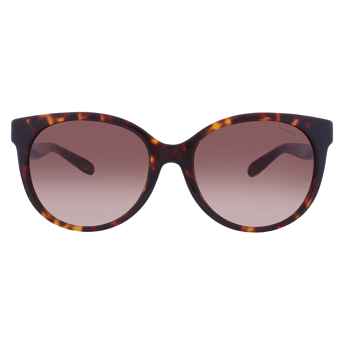 Coach Grey Pink Gradient Cat Eye Ladies Sunglasses HC8418U 589646 53 725125534505 - Sunglasses ...