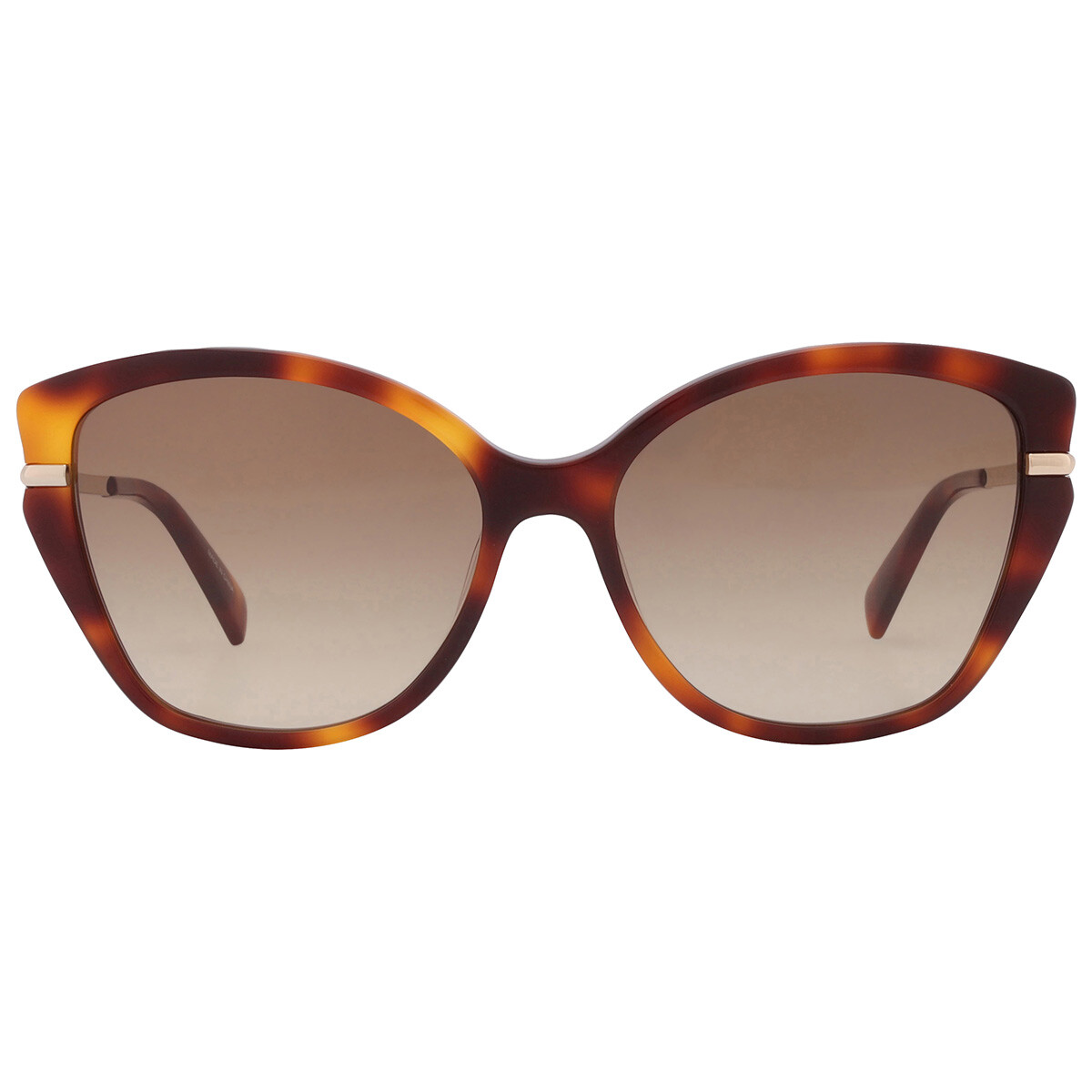 Longchamp Rose Gradient Cat Eye Ladies Sunglasses LO158S 729 60 ...