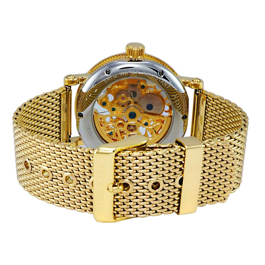 Adee Kaye AK6463 Automatic Gold Skeleton Dial Men's Watch AKJ6463-0G2MG ...