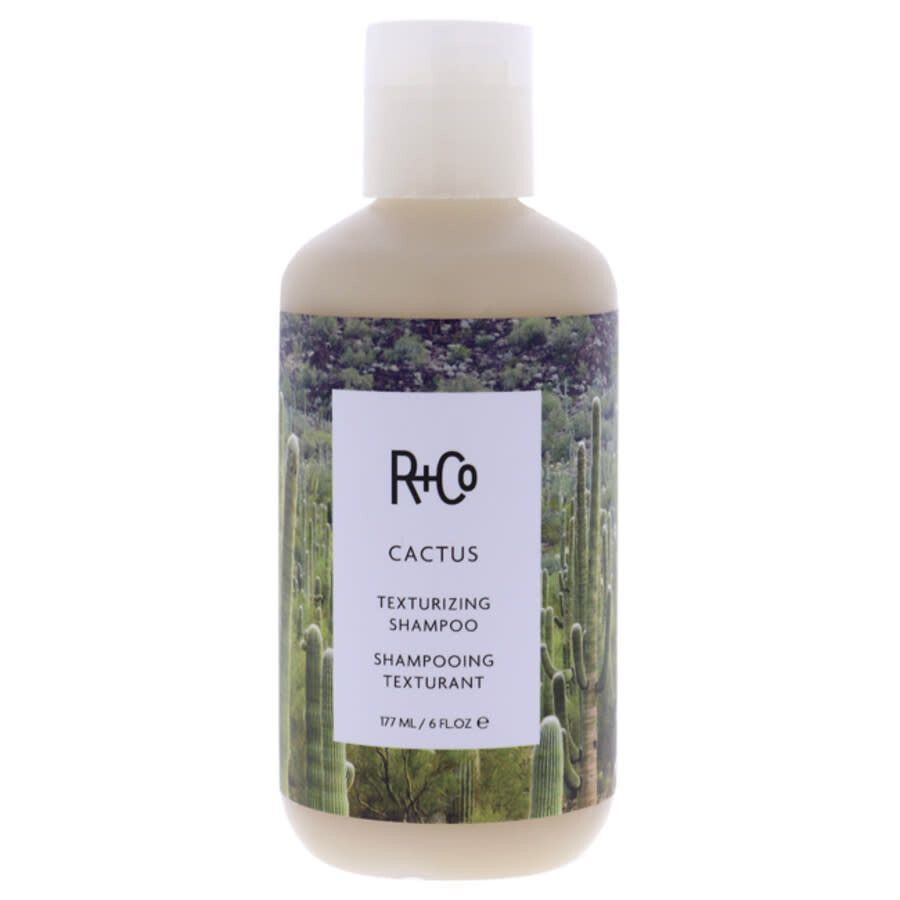 R+Co Cactus Texturizing Shampoo by R+Co for Unisex - 6 oz Shampoo ...
