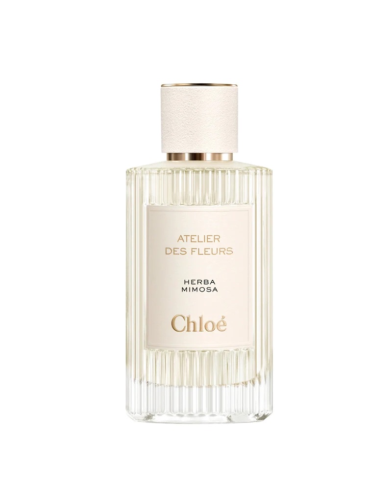 Chloe Atelier Des Fleurs Herba Mimosa EDP Spray 5.0 oz Fragrances ...