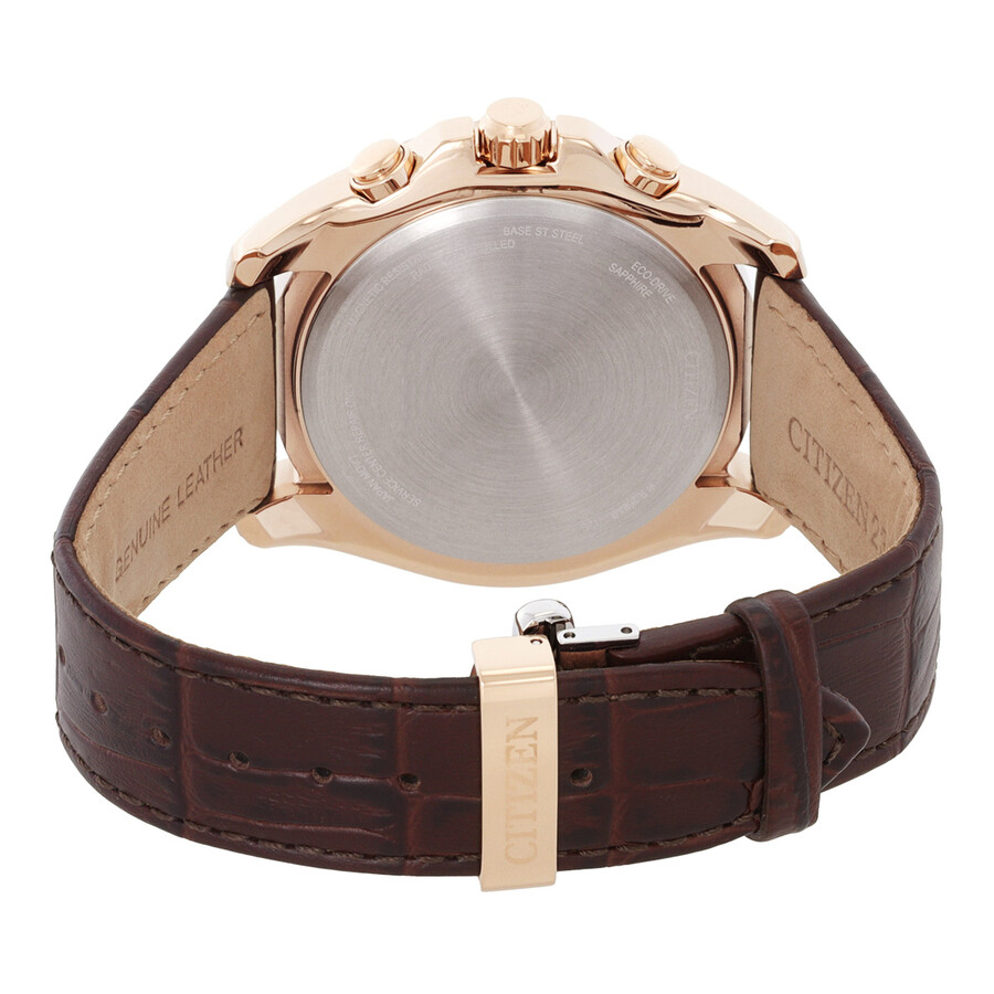 Citizen Perpetual Alarm World Time Eco-Drive GMT Black Dial Men's Watch ...