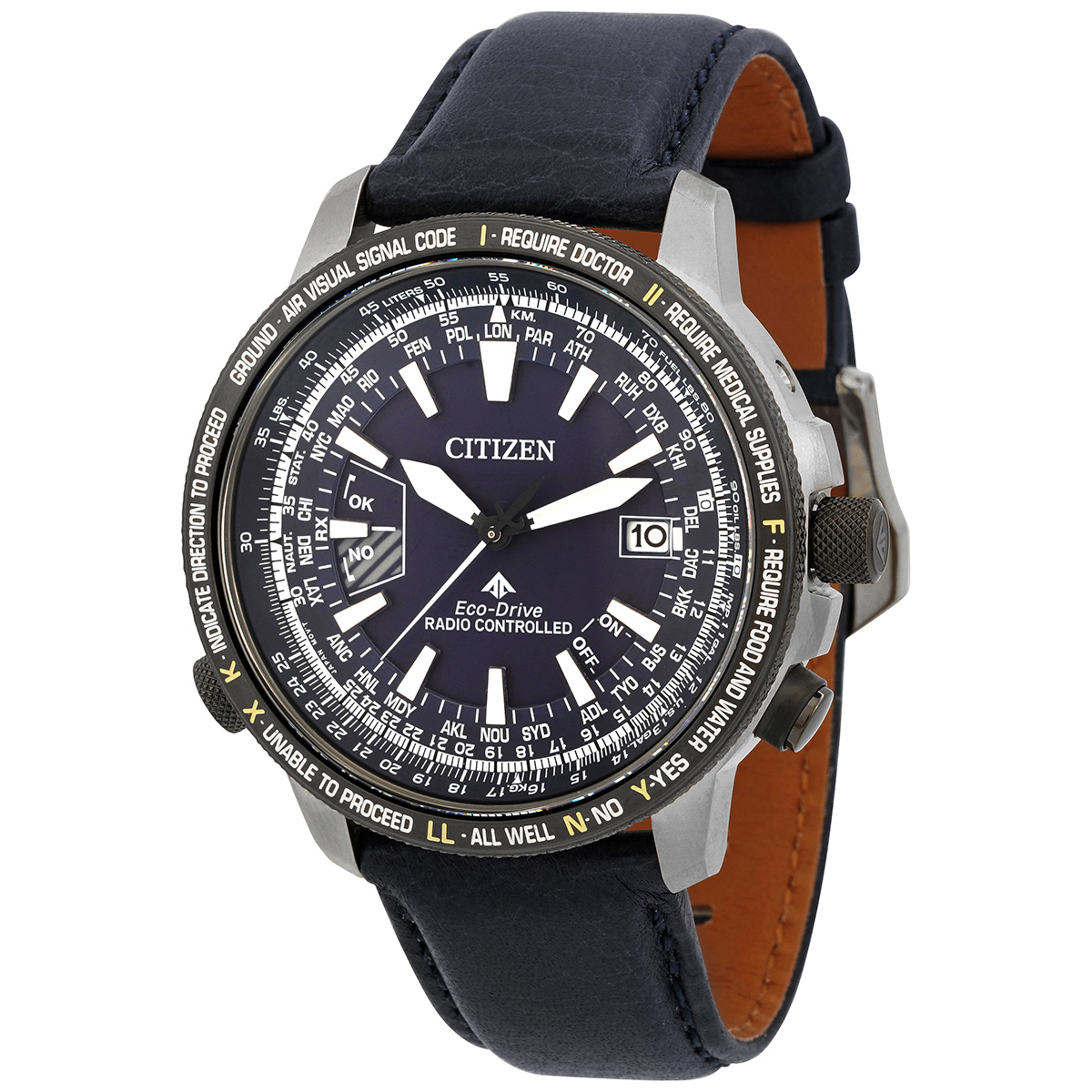 Citizen Promaster Perpetual World Time Blue Dial Men's Watch CB0204-14L ...