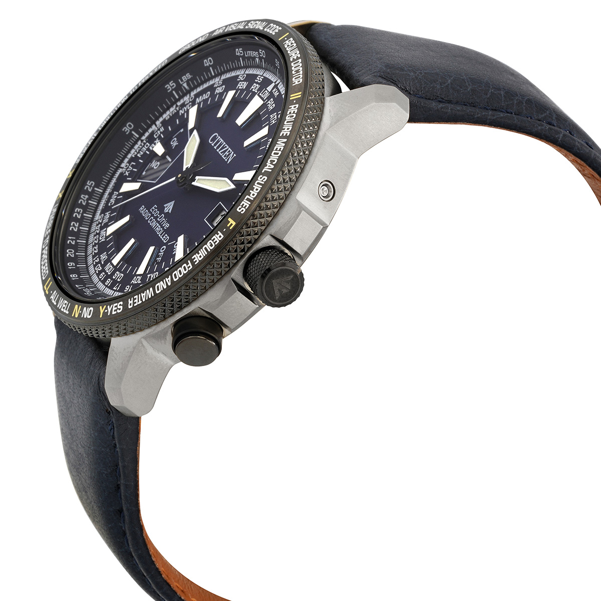 Citizen Promaster Perpetual World Time Blue Dial Men's Watch CB0204-14L ...