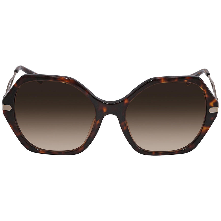 Coach Brown Gradient Geometric Ladies Sunglasses HC8315 512074 57 ...
