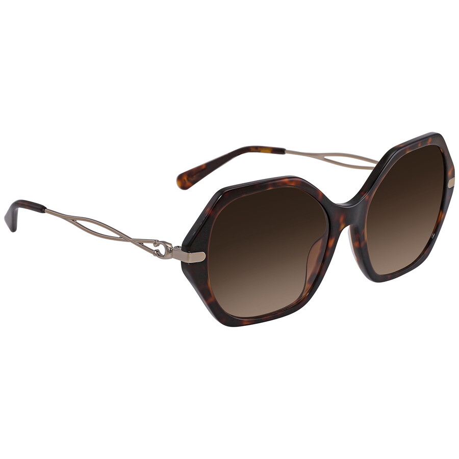 Coach Brown Gradient Geometric Ladies Sunglasses HC8315 512074 57 ...