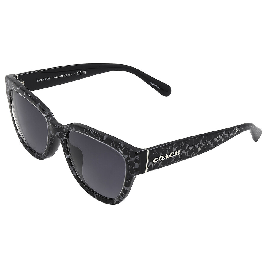 Coach Grey Gradient Butterfly Ladies Sunglasses Hc8379u 55208g 54