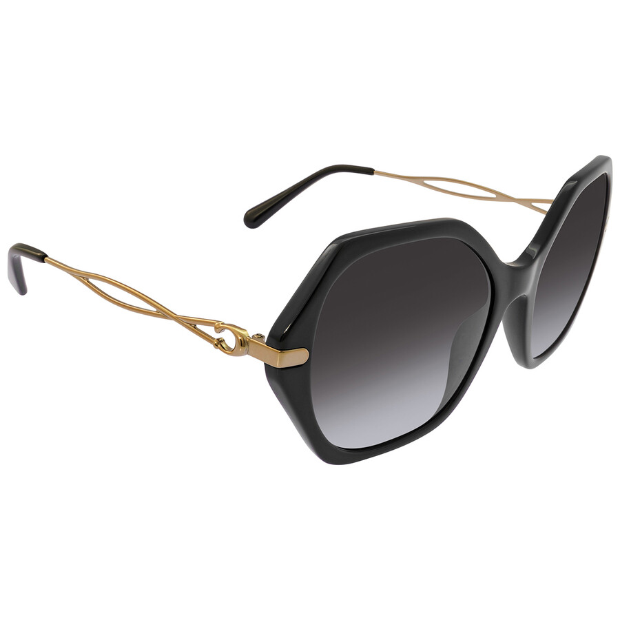 Coach Grey Gradient Hexagonal Ladies Sunglasses HC8315 50028G 57 ...