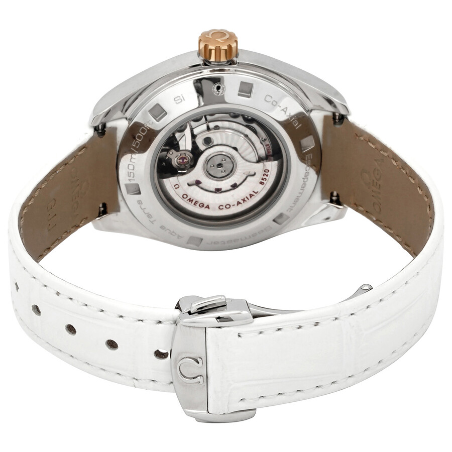 Omega Seamaster Aqua Terra Automatic Ladies Watch 231.28.34.20.55.001 ...