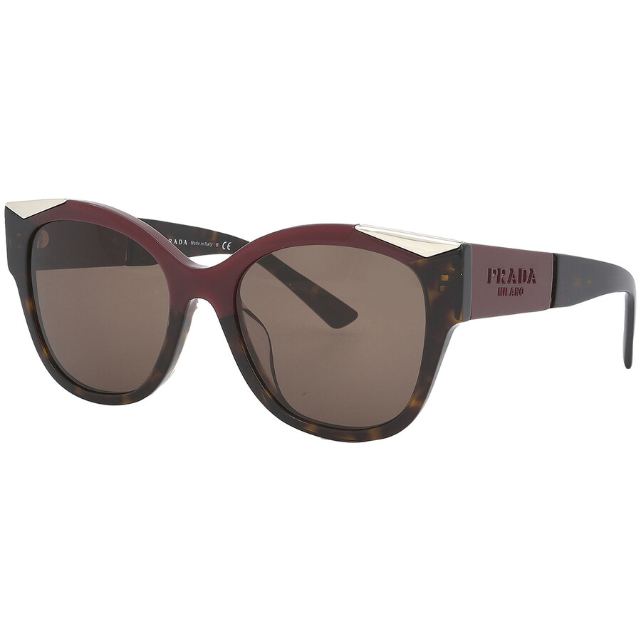 Prada Dark Brown Cat Eye Ladies Sunglasses PR 02WSF 07C0D1 56 ...