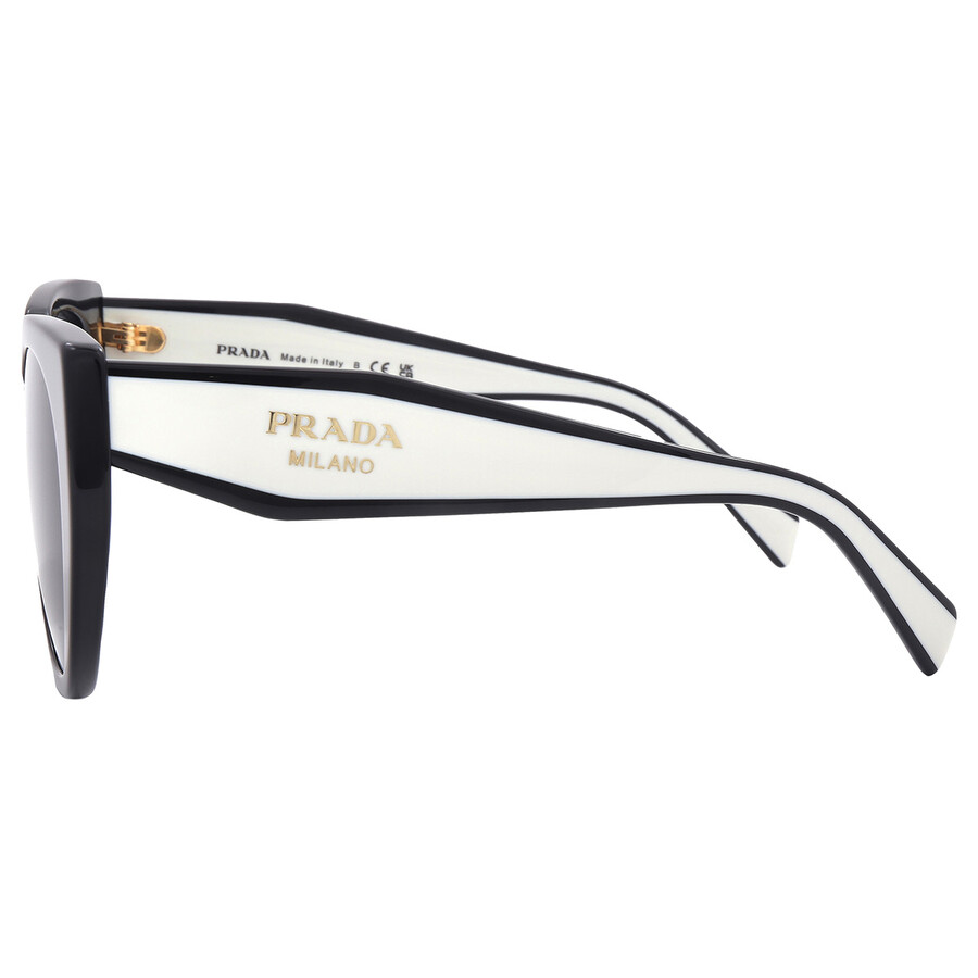 Prada Grey Cat Eye Ladies Sunglasses PR 14WS 09Q5S0 52 8056597436106 ...