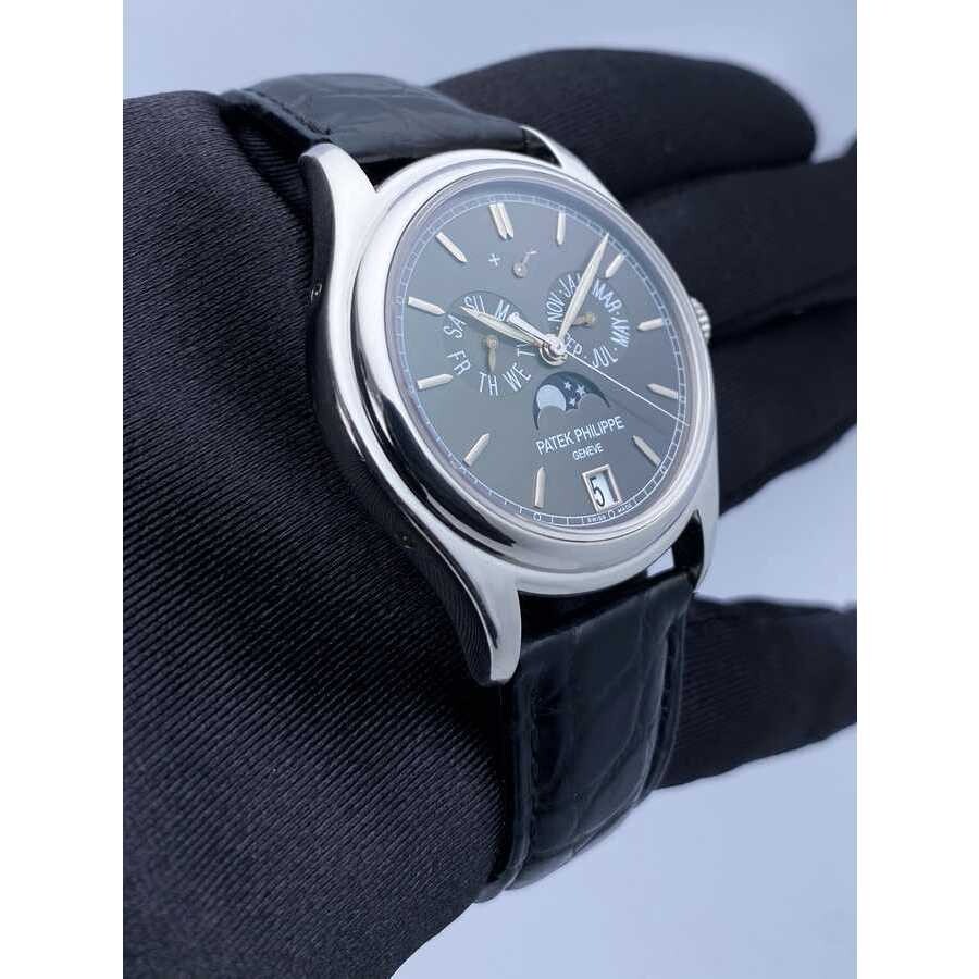 Patek Philippe Pre-owned Patek Philippe Complications Ebony sunburst ...