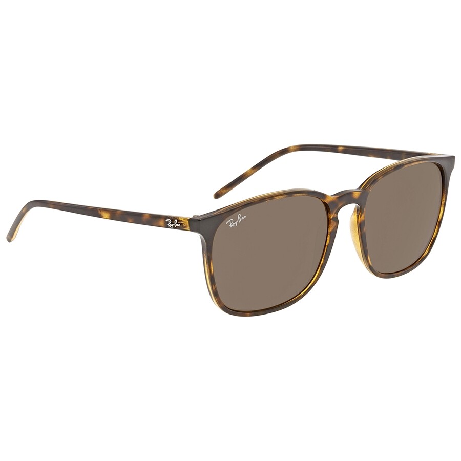 Ray-Ban Brown Classic B-15 Round Men's Sunglasses RB4387 71073 56 ...