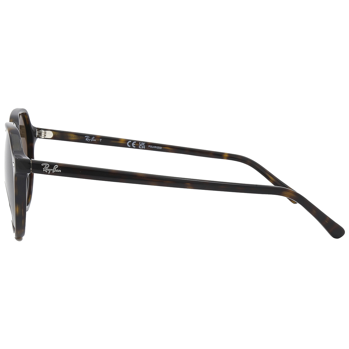 Ray-Ban Thalia Polarized Brown Geometric Unisex Sunglasses RB2195 902/ ...