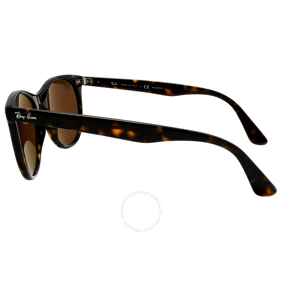 Ray-Ban Wayfarer II Classic Polarized Brown Classic B-15 Round Unisex ...