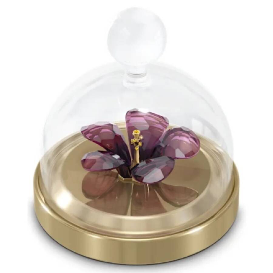Swarovski Garden Tales Champagne Gold Tone Crystals Hibiscus Flower ...