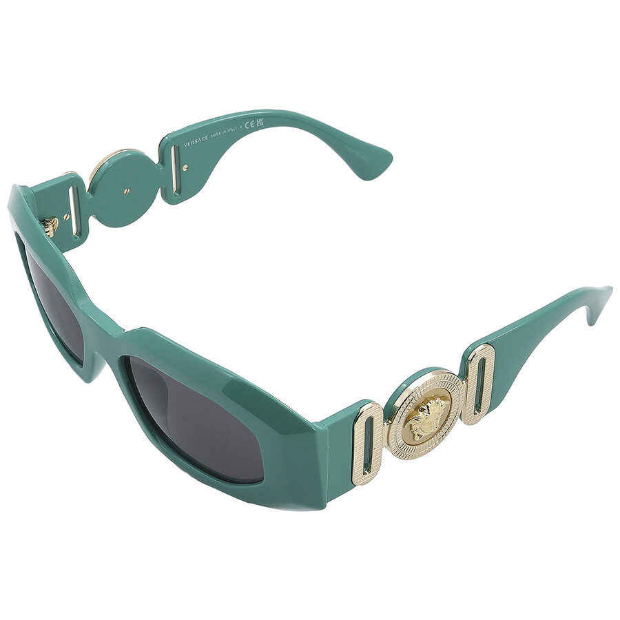 Versace Dark Gray Irregular Men's Sunglasses VE4425U 536487 54 ...