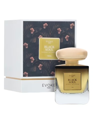 Evoke Parfum Unisex Black Soul EDP Spray 3.4 oz (Tester) Fragrances ...