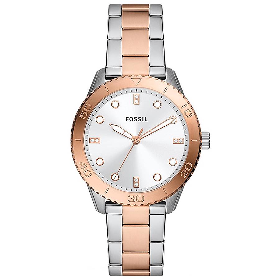 Fossil Dayle Quartz Silver Dial Watch BQ3887 796483609921 - Watches ...