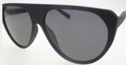 French Connection 59122FCUBLK Smoke Pilot Ladies Sunglasses 10266460 ...