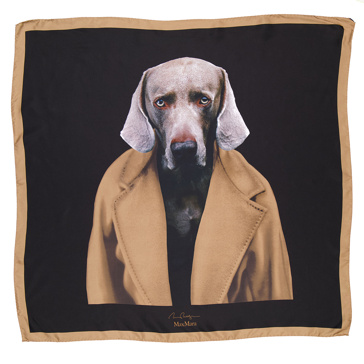 Max Mara Dog Print Silk Scarf 4546151600-CAMEL 8056243714756 - Clothing ...