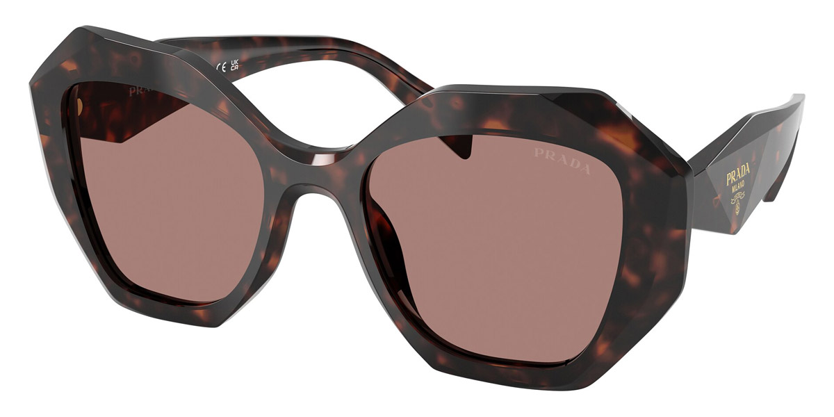 Prada Light Brown Geometric Ladies Sunglasses PR 16WS 17N60B 53 ...