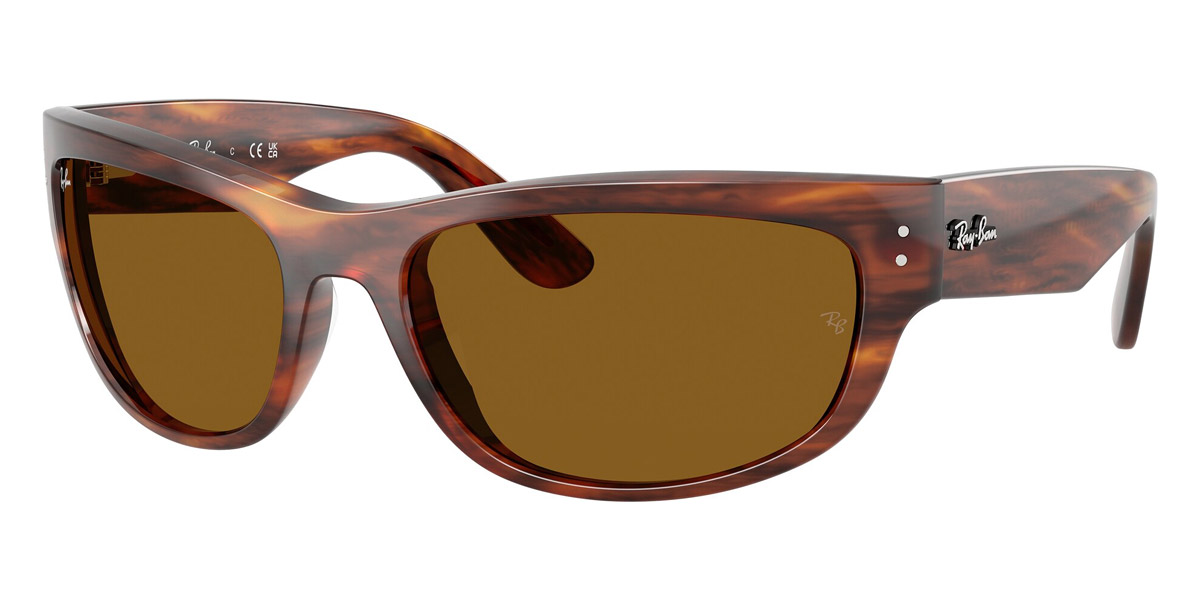 Ray-Ban MEGA BALORAMA Brown Wrap Unisex Sunglasses RB2289 954/33 60 ...