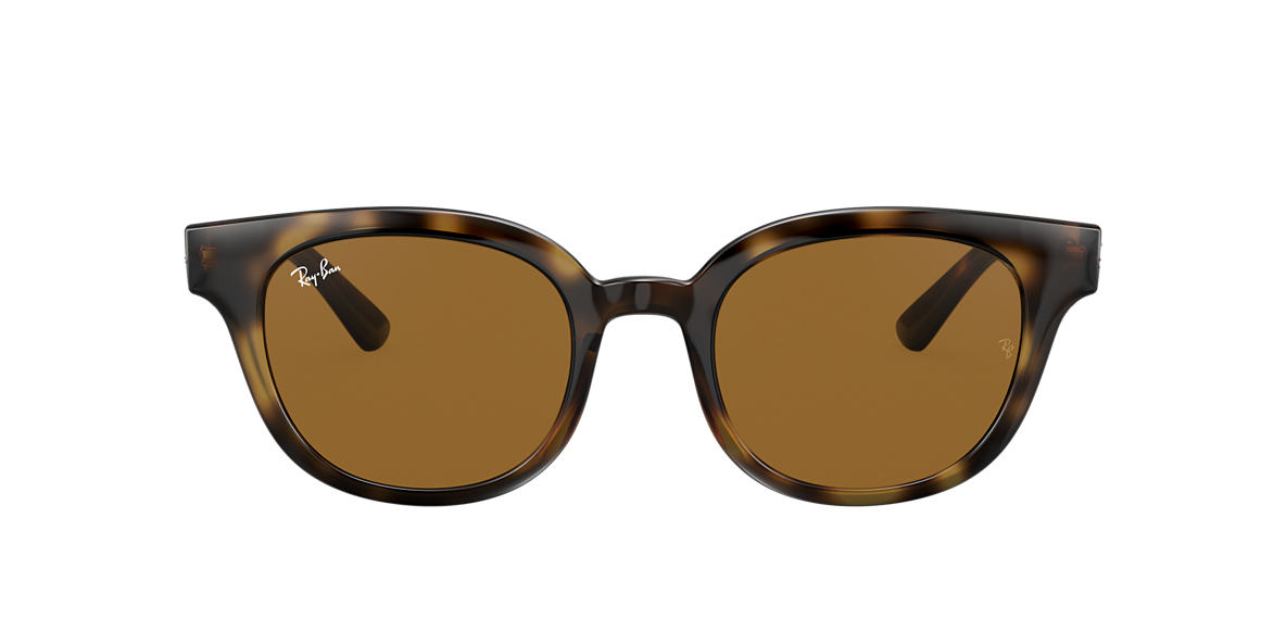 Ray-Ban Polarized Dark Brown Cat Eye Ladies Sunglasses RB4324 710/83 50 ...