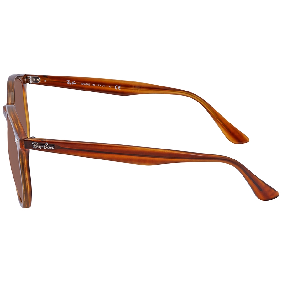 Ray Ban RB4306 Dark Brown Classic Men's Hexagonal Sunglasses RB4306 820 ...