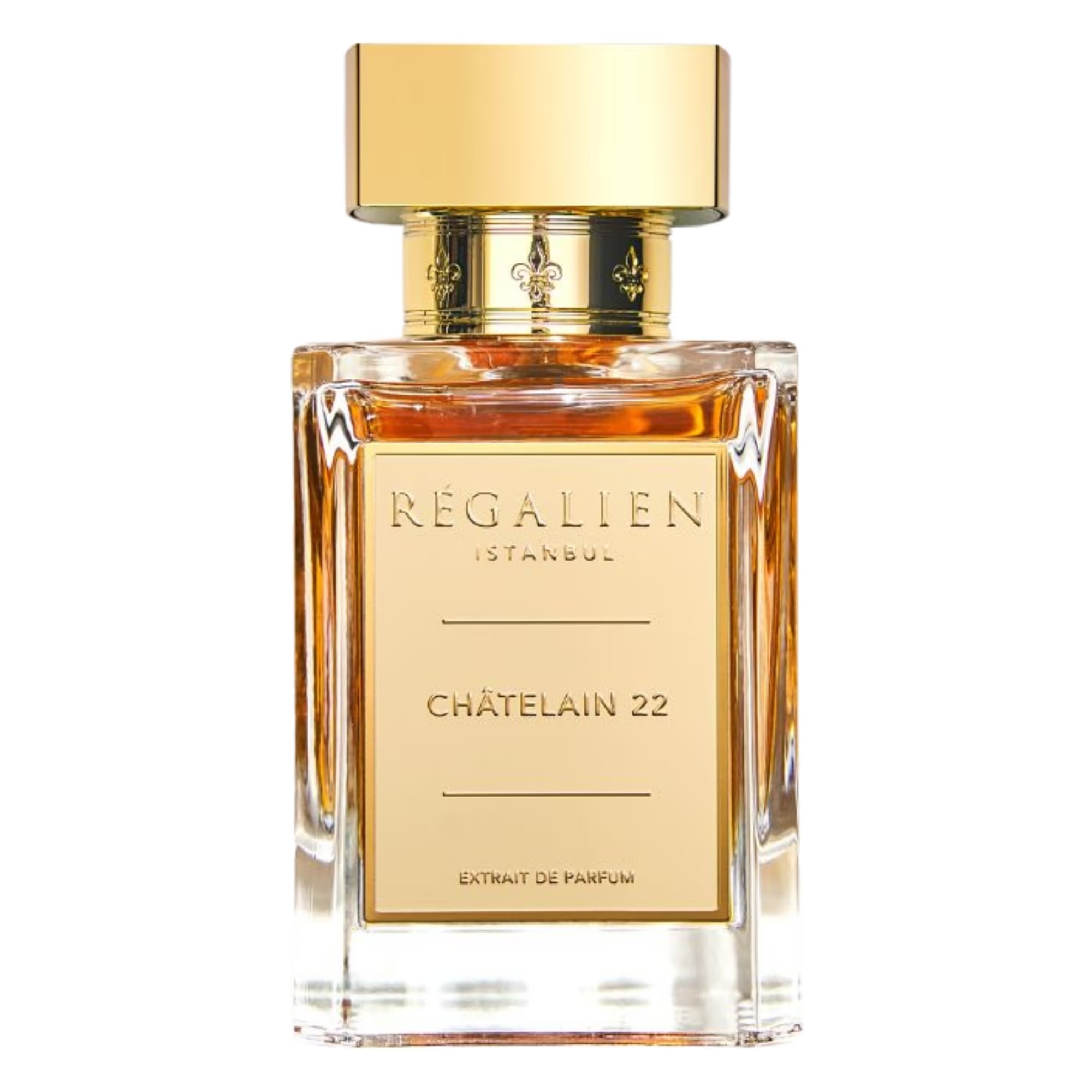 Regalien Unisex Chatelain 22 Extrait de Parfum Spray 2.7 oz Fragrances ...